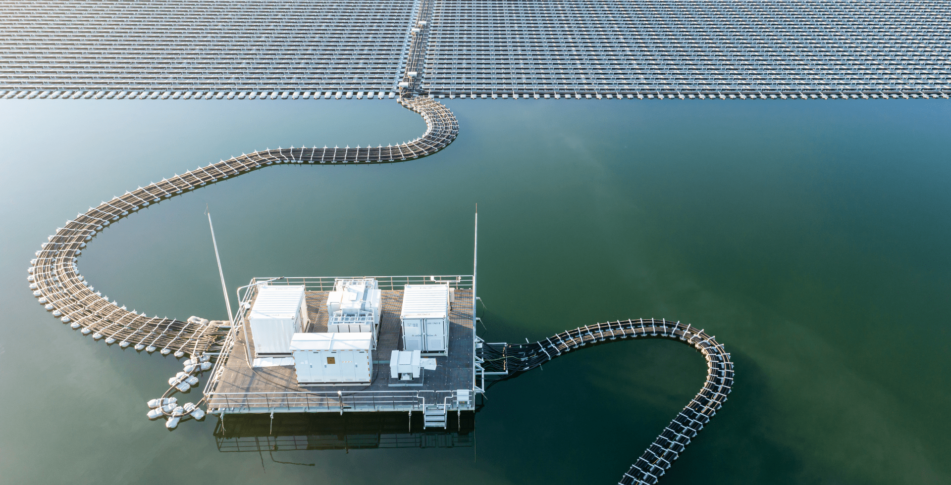 COP 28 review: beginning of the end? | Allianz Global Investors