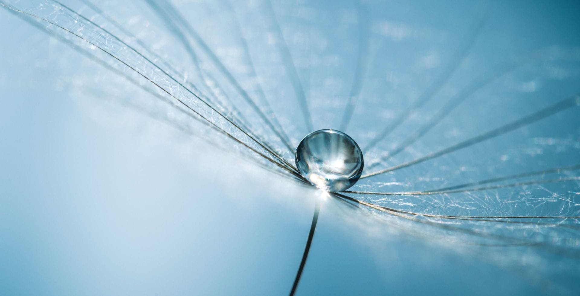 What Netflix tells us about the future of sustainable investing | AllianzGI